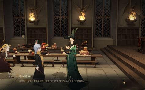 해리포터 깨어난마법 스토리도 괜찮던