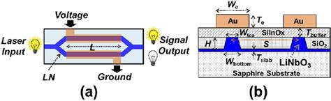 Schematic Of The Sputter Deposited Thin Film Ln Modulator Mzi