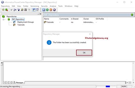 Informatica Repository Manager