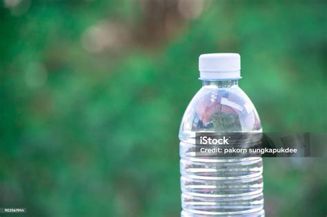 하늘과 나무 흐린 배경에 플라스틱 만든 병 물 벽지를 사용 하 여 패키지 또는 이미지 및 복사 공간을 새로 고침 제품 0명에 대한 스톡 사진 및 기타 이미지 Istock