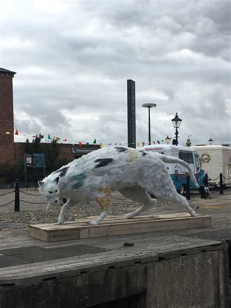 Emma Grace Arends Emmagracearends Twitter