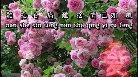 Jiu Bai Jiu Shi Jiu Duo Mei Gui 九百九十九朵玫瑰 Female 女版伴奏 Youtube