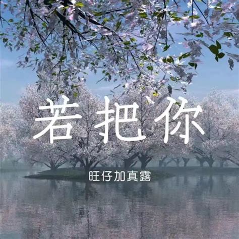 若把你 Single 旺仔加真露的专辑 Apple Music