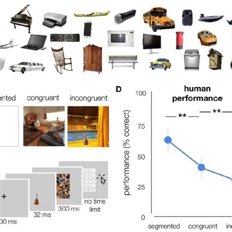 Stimuli And Experimental Design A Examples Of The Different Object