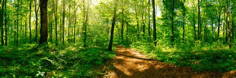 Materiality Assessment Hmtx Industries