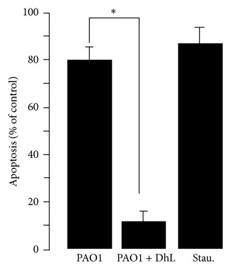 Effect Of Dhl On P Aeruginosa Induced Apoptosis J774 Eclone Cells