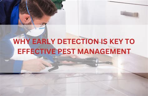 Why Early Detection Is Key To Effective Pest Management