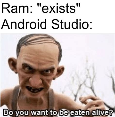 no r programmerhumor