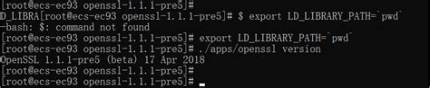 实验二 Openssl Api使用 20191231 博客园