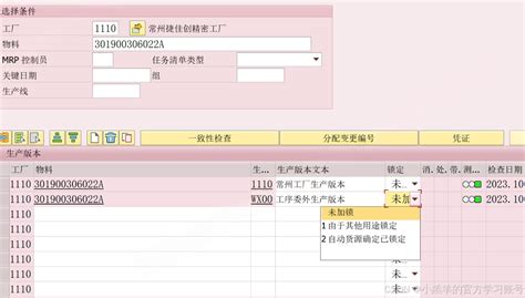 【sap Pp】生产版本维护sap生产版本 Csdn博客