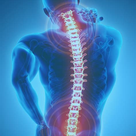Back Care Patient Handling Archives Hospital Direct
