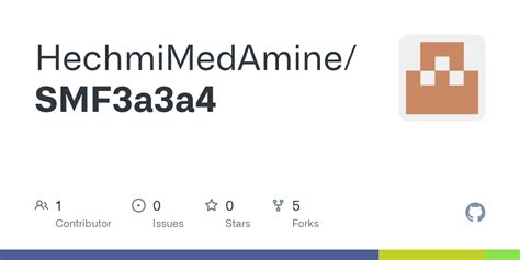 Github Hechmimedaminesmf3a3a4