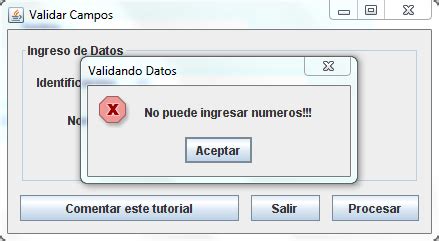 Validar Campos Con Java
