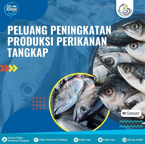 Direktorat Jenderal Perikanan Tangkap KKP Kementerian Kelautan Dan Perikanan