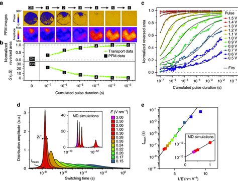 a memristor governed by nucleation limited ferroelectric domain