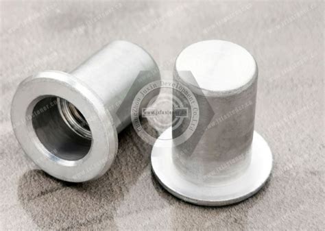 Flat Head Closed End Round Body Blind Rivet NutsClosed End Supplier