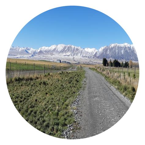 Ram Semen Sales And Marketing Genetic Gains