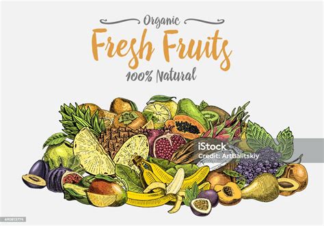 빈티지 손으로 그린 신선한 과일 배경 여름 식물 채식 및 유기농 감귤 류 및 기타 새겨져 있다 파인애플 레몬 파파야 Pitaya Maracuya 바나나 그래픽 프린트에 대한