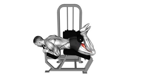 Lever Lying Leg Curl Video Guide And Tips