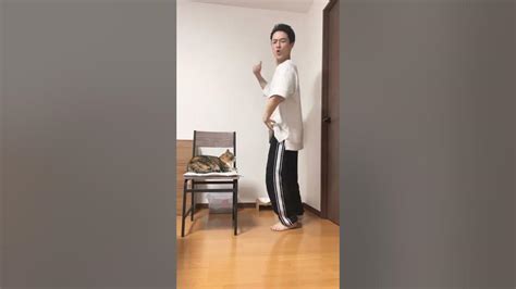 【befirst】betrayal Gameを踊る陽気なおじさんとネコshorts Befirst Betrayalgame