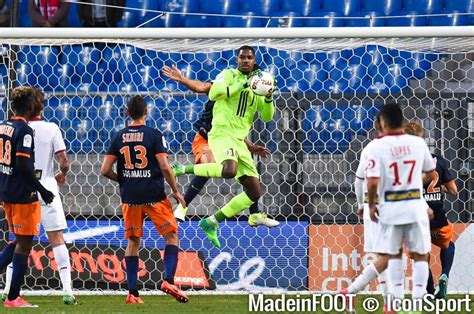 L1 Mhsc Losc Les Compos Officielles