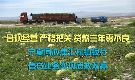 合规经营 严格把关 贷款三年零不良——宁夏同心津汇