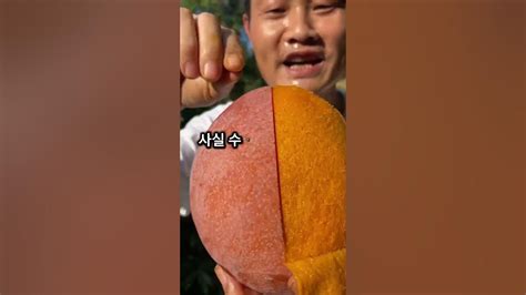 🛁 머리를 뒤흔드는 소름 돋는 생각들 마지막은 충격적 Youtube