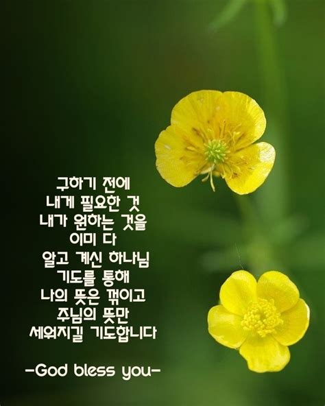 오늘의묵상20240626품격 있는 늙음