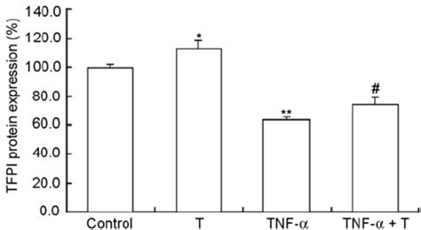 Effect Of Testosterone T With Or Without Tumor Necro Sis