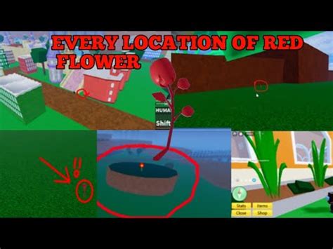 ALL LOCATIONS OF RED FLOWERS IN BLOX FRUITS FIND RED FLOWER YouTube