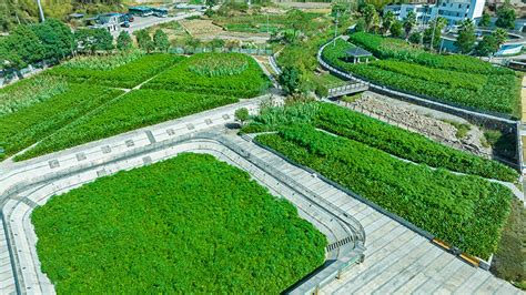 深圳市碧园环保技术有限公司从事垂直流人工湿地城镇污水处理厂尾水深度处理污水处理回用雨水处理回用工业园污水处理人工湿地污水处理污水