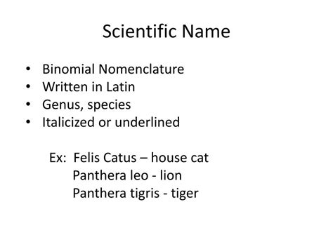 PPT Father Of Taxonomy PowerPoint Presentation Free Download ID