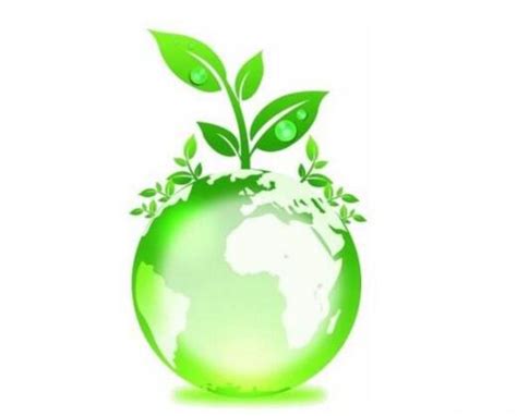 发挥节能增效对绿色发展的支撑作用新闻中心中国碳汇林