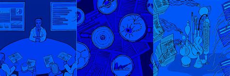 Plain Language Summaries Of Research Collections ELife