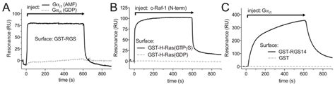 Diverse Applications Of An Anti Gst Cm5 Sensor Chip Download