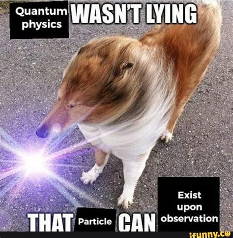 Wasnt Lying Quantum Physics Exist Upon That Particle Observation Ifunny
