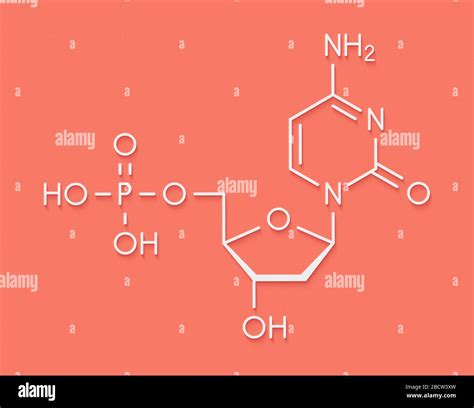 Deoxycytidine Monophosphate Dcmp Nucleotide Molecule Dna Building Block Skeletal Formula