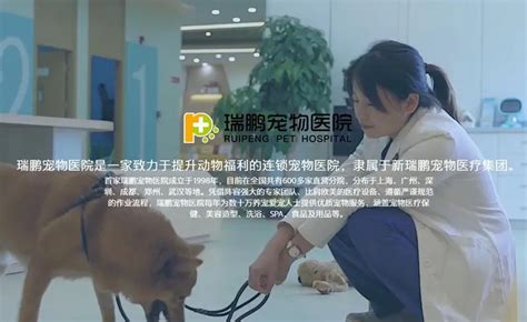 瑞鹏宠物医院回应医生狂踹虐待猫咪已开除门店停业整改 猫咪范