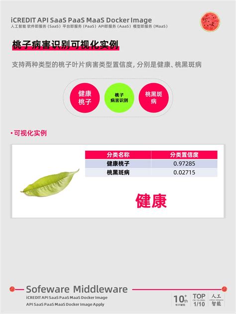 人工智能ai：农业病虫害计算机视觉 桃子病害识别（2种病害） Csdn博客