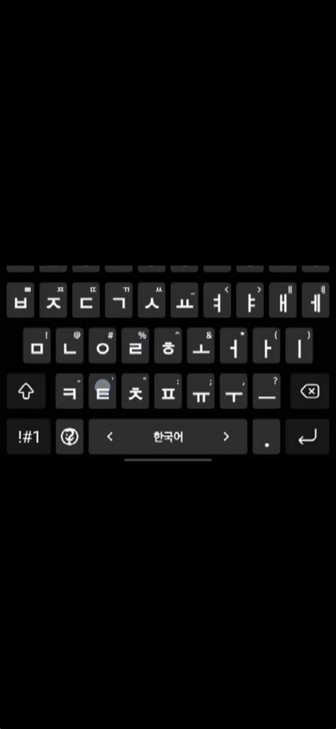 키보드 특수 문자 이미지 겹침 Samsung Members