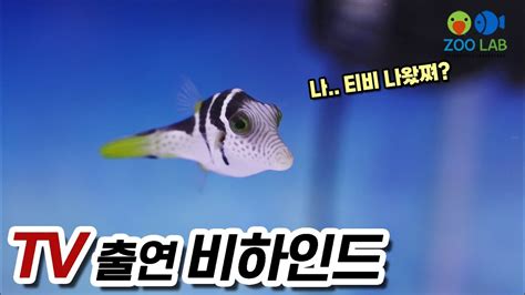 키우는 물고기와 함께 방송에 나왔어요 Kbs 생생정보 20230209 해수인 대표 해수취미 촬영 해수어 키우기 Youtube