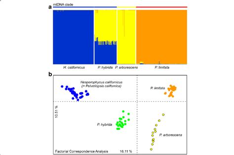 Genotypic Entities Within Pelvetiopsis As Assessed With Microsatellite Download Scientific