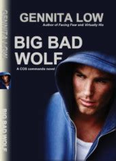 A LOW PROFILE Sex Toys That You Probably Won T Find In A Romance Novel