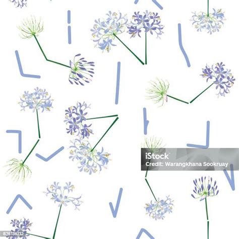 Agapanthus 꽃은 시간 이다 아가판투스 백합에 대한 스톡 벡터 아트 및 기타 이미지 아가판투스 백합 0명 꽃 나무