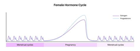 Premium Vector Female Hormones Lifestyle Graph Estrogen And