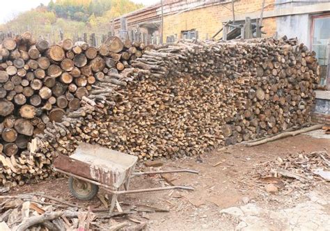 黑龙江林区公安局八面通分局破获一起盗窃林木案