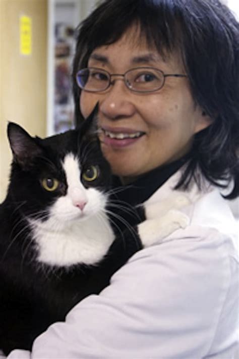 Susan Chew Dvm Updated July 2025 25 Reviews Albany California
