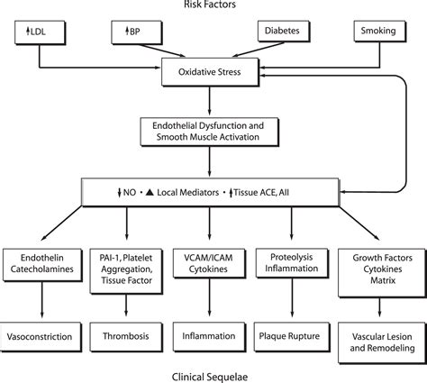 Coronary Artery Disease Pathophysiology Diagram
