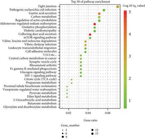 Go And Kegg Analyses Of Module Genes Go Terms A And Kegg Enrichment