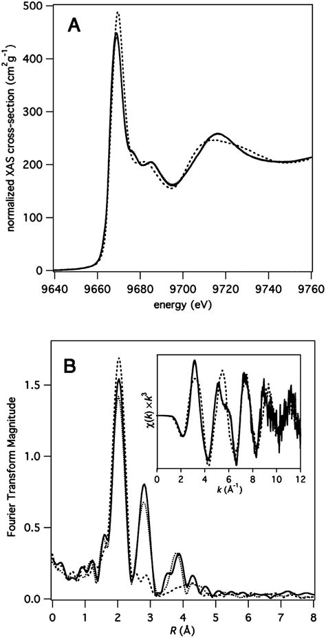 NMR And XAS Reveal An Inner Sphere Metal Binding Site In The P4 Helix